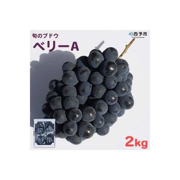 ■お礼品詳細　・容量：ベリーA 約2kg　・消費期限：出荷後1週間以内（冷蔵保存にてお早めにお召し上がりください）　・配送方法：冷蔵　・提供事業者：りの果樹園　・提供元：西予市■お申し込み・配送・その他　・発送時期：2026年8月中旬から9...