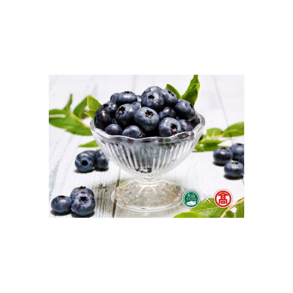 ■お礼品詳細　・内容量：冷凍ブルーベリー500g×2パック 　・賞味期限： 冷凍360日 　・配送方法： 冷凍便　・提供元：江府町■お申し込み・配送・その他　・発送時期：寄付後30日前後　・申込受付期間：通年:限定30セット　・配達外のエリ...