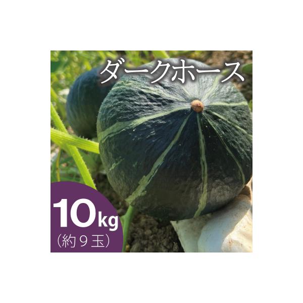 ■お礼品詳細　・配送：通常　・内容量：かぼちゃ10kg　約9玉前後　・賞味期限：常温で約1ヶ月(高温多湿は避けてください)　・提供元：当麻町■お申し込み・配送・その他　・発送時期：9月中旬〜10月下旬の間で随時発送　・申込受付期間：毎年10...