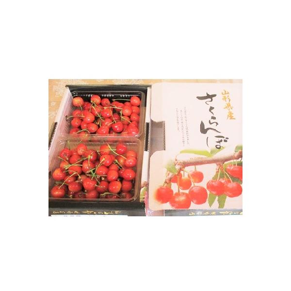 ■お礼品詳細　・配送方法：冷蔵便　・事業者：神来社農園　・提供元：上山市■お申し込み・配送・その他　・発送時期：2026年6月上旬〜6月下旬迄※ご不在日が多く配達が困難な場合、お礼品や配送先の変更をお願いする場合がございます。 　・申込受付...