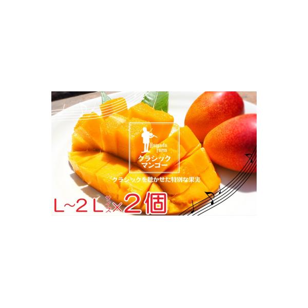 ■お礼品詳細　・内容量：完熟クラシックマンゴー：300g〜400g × 2個 　・賞味期限：出荷日から5日程度　・配送方法：冷蔵　・提供元：錦江町■お申し込み・配送・その他　・発送時期：2026年6月中旬頃から収穫でき次第順次発送いたします...