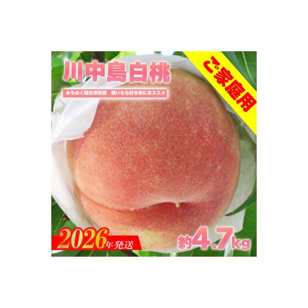 ■お礼品詳細　・事業者：みちのく観光果樹園　・内容量：4.7kg 12〜20玉入り　・賞味期限：発送日+5日間　・配送方法：冷蔵便　・アレルギー：もも　・提供元：福島市■お申し込み・配送・その他　・発送時期：2026年8月中旬から2026年...