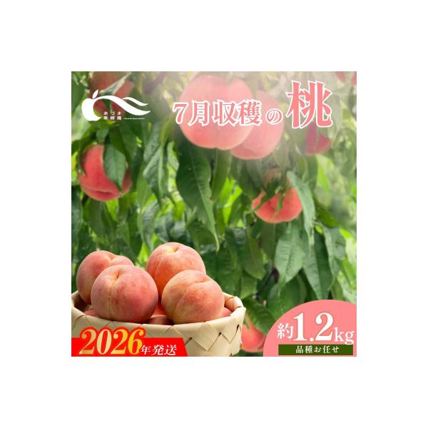 ■お礼品詳細　・事業者：有限会社あづま果樹園　・内容量：品種お任せ約1.2kg（4〜6玉入）　・賞味期限：発送日+2日程度※生ものですので期間に関わらずお早目にお召し上がりください。　・配送方法：冷蔵便　・アレルギー：もも　・提供元：福島市...