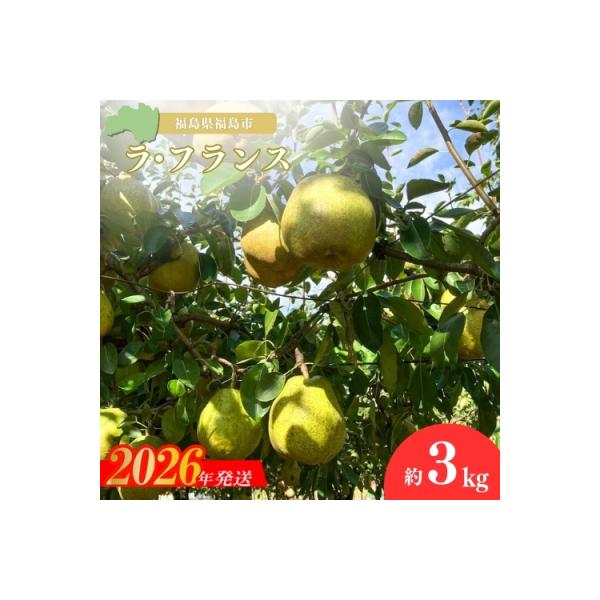 ■お礼品詳細　・事業者：ヤマ孝 紺野果樹園　・内容量：約3kg(9個〜11個） 収穫状況により玉数が変更になる場合がございます。　・賞味期限：冷蔵庫で1週間程度　・配送方法：通常便　・提供元：福島市■お申し込み・配送・その他　・発送時期：2...