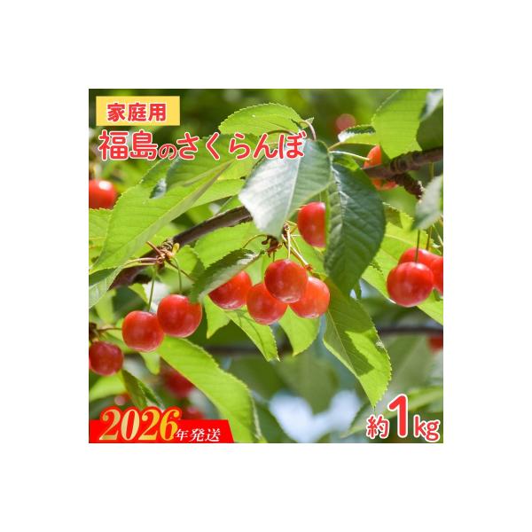 ■お礼品詳細　・事業者：株式会社幸青果　・内容量：さくらんぼ（佐藤錦・紅秀峰・紅てまりのいずれか）約1kg/バラ詰、小粒　・賞味期限：発送日＋３日　・配送方法：冷蔵便　・提供元：福島市■お申し込み・配送・その他　・発送時期：2026年6月上...