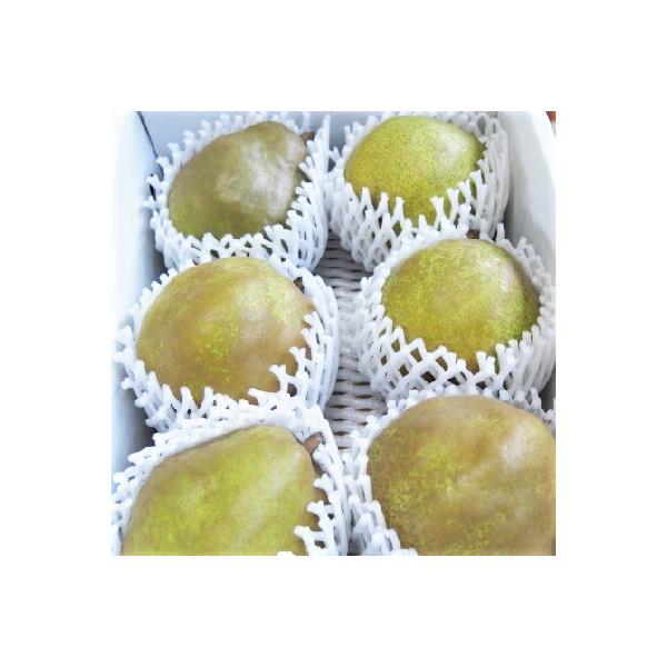 ■お礼品詳細　・配送方法：通常便　・事業者：有限会社　上山観光フルーツ園　・提供元：上山市■お申し込み・配送・その他　・発送時期：2025年10月中旬〜2026年1月下旬迄※出荷期間が長いお品物です。期間の中で順次発送いたしますのでご理解い...