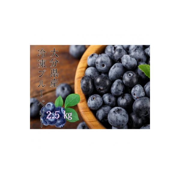 ■お礼品詳細　・容量：冷凍ブルーベリー2.5kg(500g×5袋)　・消費期限：製造日から365日　・アレルギー：特定原材料7品目は使用していません  特定原材料に準ずる21品目は使用していません　・配送方法：冷凍　・事業者：JA全農おおい...
