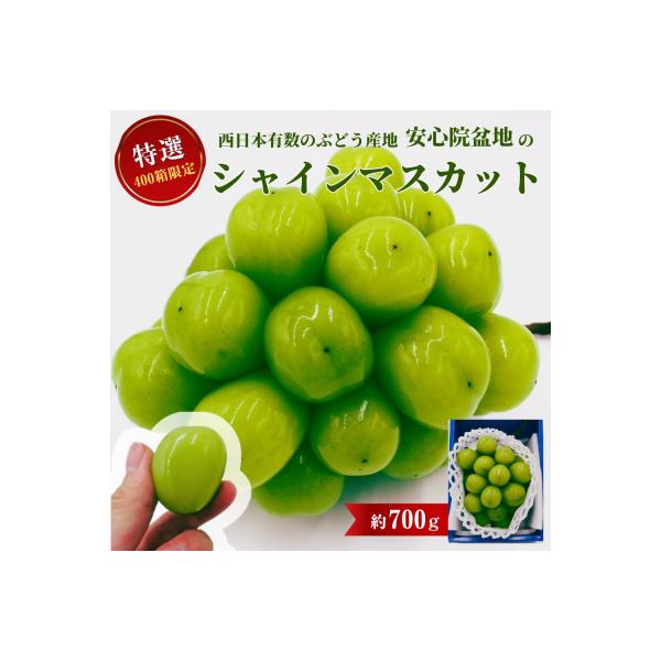 ■お礼品詳細　・提供元：宇佐市■お申し込み・配送・その他　・発送時期：2026年8月下旬〜10月下旬の間にお申し込み順に発送いたします。※生育状況により多少前後する可能性がございます。　・申込受付期間：9月下旬まで　・配達外のエリア：離島、...