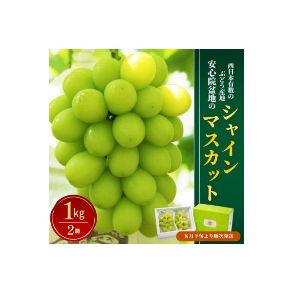 ■お礼品詳細　・提供元：宇佐市■お申し込み・配送・その他　・発送時期：2026年8月下旬〜10月下旬の間にお申し込み順に発送いたします。※生育状況により多少前後する可能性がございます。　・申込受付期間：1月下旬まで　・配達外のエリア：離島、...