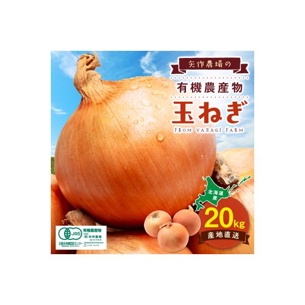 ■お礼品詳細　・容量：20kg（混み玉：M〜L大主流）　・配送方法：通常便　・賞味期限：常温30日程度　・提供元：津別町■お申し込み・配送・その他　・発送時期：R8年9月上旬〜　・申込受付期間：11月中旬まで　・配達外のエリア：　・寄付証明...