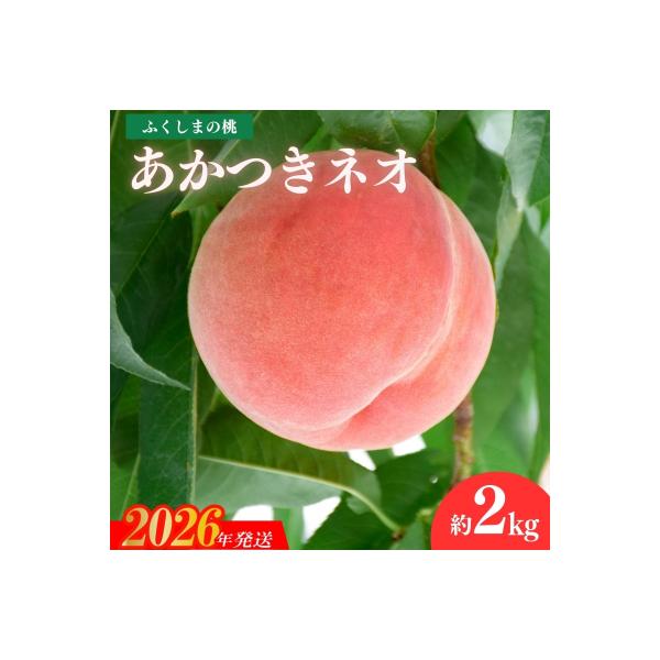 ■お礼品詳細　・事業者：果樹園きつない　・内容量：約2kg　・賞味期限：発送日+3日程度　・配送方法：冷蔵便　・アレルギー：もも　・提供元：福島市■お申し込み・配送・その他　・発送時期：2026年8月上旬から2026年8月中旬発送予定　・申...