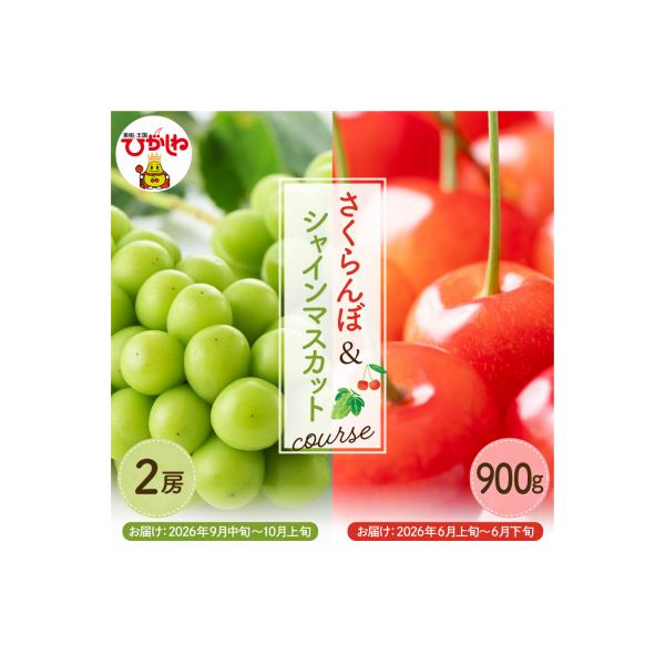 ■お礼品詳細　・容量：GI東根さくらんぼ佐藤錦900gバラ詰め、シャインマスカット2房(約1.3kg〜1.4kg)　・消費期限：出荷日から3日程度　・保存方法：要冷蔵 ※ご到着後は、期限に関わらずお早めにお召し上がりください。　・アレルギー...
