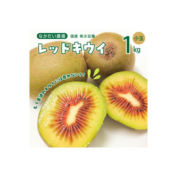 ■お礼品詳細　・配送方法：通常便　・内容：レッドキウイ小玉1kg（13-16個）　・賞味期限：出荷日より約5〜20日(個体により追熟の期間が異なります) 　・賞味期限：冷蔵庫で保管していただくことで、追熟を遅らせることも可能です。　・提供事...