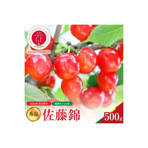 ■お礼品詳細　・容量：秀品 500g 佐藤錦　・賞味期限：出荷日から3日　・配送方法：冷蔵　・保存方法：冷蔵で保存してください ※ご到着後は、期限に関わらずお早めにお召し上がりください。　・提供事業者：株式会社　松栗　・提供元：東根市■お申...