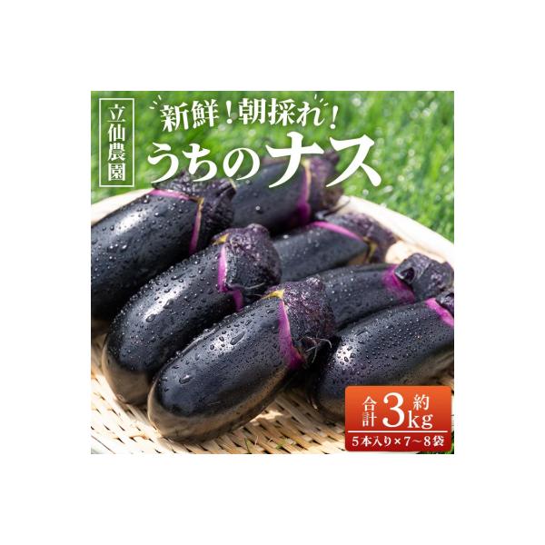 ■お礼品詳細　・容量：■3kg(5本入り7〜8袋)　・消費期限：出荷日(発送日)+6日　・配送方法：通常配送 ※発送のお知らせメールはお送りできません。　・配送状況について：マイページの「配送状況」は更新されません。表示は「自治体照会」のま...