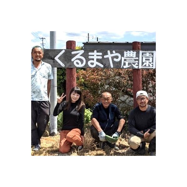 ■お礼品詳細　・配送方法：通常便　・事業者：株式会社くるまや農園　・提供元：上山市■お申し込み・配送・その他　・発送時期：2026年8月上旬〜8月中旬迄※ご不在日が多く配達が困難な場合、お礼品や配送先の変更をお願いする場合がございます。 　...