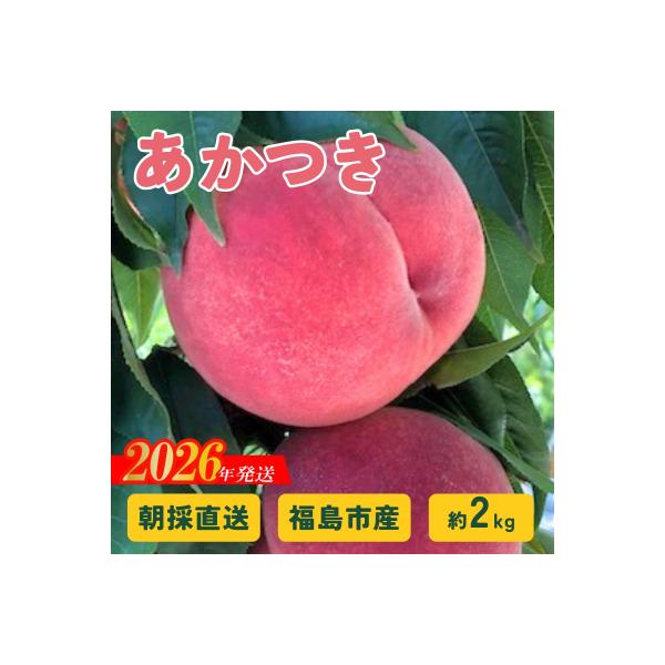 ■お礼品詳細　・事業者：さとう果樹園株式会社　・内容量：約2kg  6玉〜８玉　・賞味期限：発送日+3日　・配送方法：通常便　・アレルギー：もも　・提供元：福島市■お申し込み・配送・その他　・発送時期：2026年7月中旬から2026年8月上...