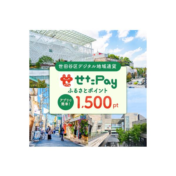 ■お礼品詳細　・配送方法：通常　・注意事項(1)：世田谷区では仕様上、お礼品発送通知メールを送付できかねます。　・注意事項(2)：状況により多少前後する場合があります(日時指定不可)。再配達期間を過ぎた場合、再送はいたしかねます。　・事業者...