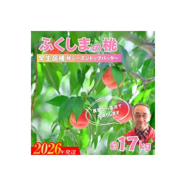 ■お礼品詳細　・事業者：ししどりんご園　・内容量：約1.7kg　・賞味期限：発送日+4日　・配送方法：冷蔵便　・アレルギー：もも　・提供元：福島市■お申し込み・配送・その他　・発送時期：2026年6月下旬から2026年7月下旬発送予定　・申...