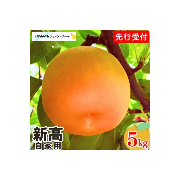 ■お礼品詳細　・事業者：しなのがわジューシーファーム　・地場産品基準：1 三条市内において生産されているため。　・提供元：三条市■お申し込み・配送・その他　・発送時期：10月上旬〜11月上旬頃※天候や生育状況により、発送開始・終了時期が前後...