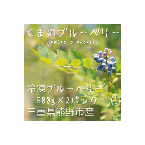 ■お礼品詳細　・配送方法：冷凍便　・提供元：熊野市■お申し込み・配送・その他　・発送時期：準備でき次第、順次発送させていただきます。 ※収穫状況や気象の影響、自然災害により遅延または発送が早まる場合があります。　・申込受付期間：通年　・配達...