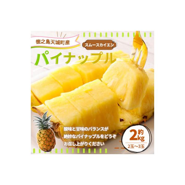 ■お礼品詳細　・提供元：天城町■お申し込み・配送・その他　・発送時期：ご入金確認後2週間から1カ月以内　・申込受付期間：在庫終了まで　・配達外のエリア：　・寄付証明書の送付時期目安：入金確認日から２週間程度