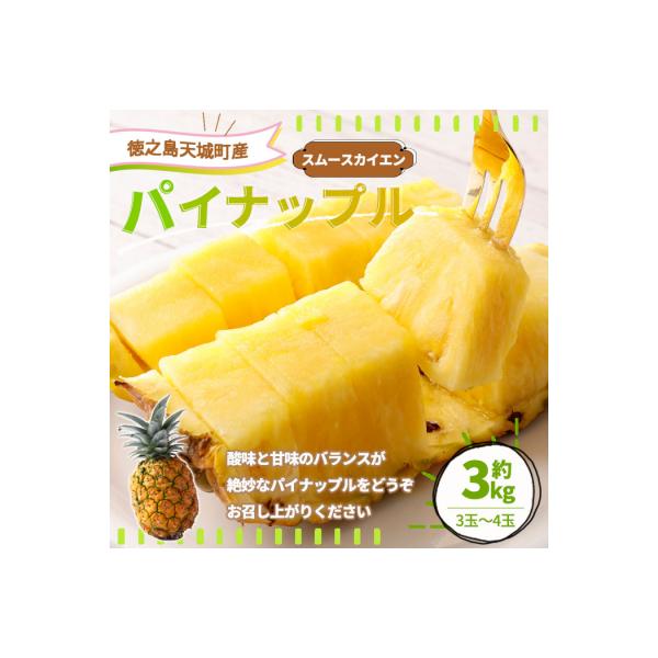 ■お礼品詳細　・提供元：天城町■お申し込み・配送・その他　・発送時期：ご入金確認後2週間から1カ月以内　・申込受付期間：在庫終了まで　・配達外のエリア：　・寄付証明書の送付時期目安：入金確認日から２週間程度