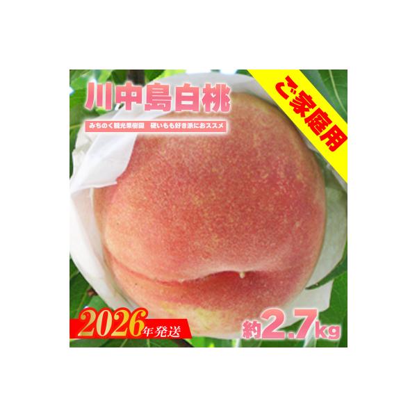 ■お礼品詳細　・事業者：みちのく観光果樹園　・内容量：約2.7kg 8〜13玉入り　・賞味期限：発送日+2日間　・配送方法：冷蔵便　・アレルギー：もも　・提供元：福島市■お申し込み・配送・その他　・発送時期：2026年8月中旬から2026年...