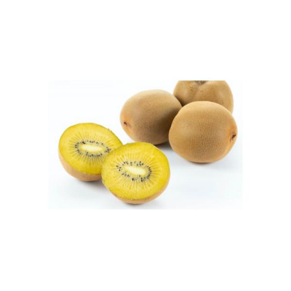 ■お礼品詳細　・容量：さぬきゴールド　１６０〜１８０ｇ/１玉　×６玉　（約１ｋｇ前後)　・保存方法：新聞紙またはポリエチレンの袋に入れ、冷蔵貯蔵して頂きますと数日間は食べ頃が継続します。　・配送方法：常温便　・賞味期限 ：発送日から５〜6日...