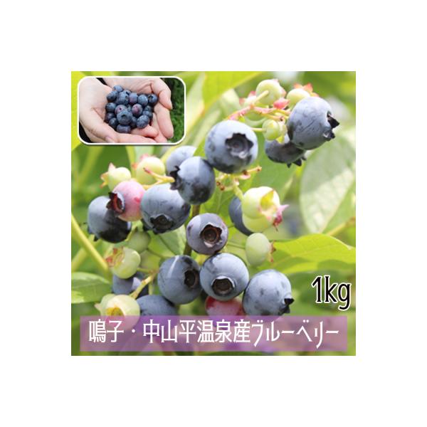 ■お礼品詳細　・配送方法：冷凍　・提供元：大崎市■お申し込み・配送・その他　・発送時期：決済から14日前後で発送いたします。　・申込受付期間：通年　・配達外のエリア：　・寄付証明書の送付時期目安：入金完了日から30日以内（12月25日から3...