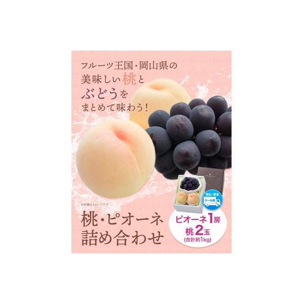 ■お礼品詳細　・配送方法：冷蔵便　・消費期限：桃：出荷日より3日程度　ぶどう：出荷日より5日程度　・内容量：桃2玉・ピオーネ1房　　・注意事項：天候等により出荷日が前後する場合がございますので　ご了承のほどお願いいたします。　・提供元：笠岡...
