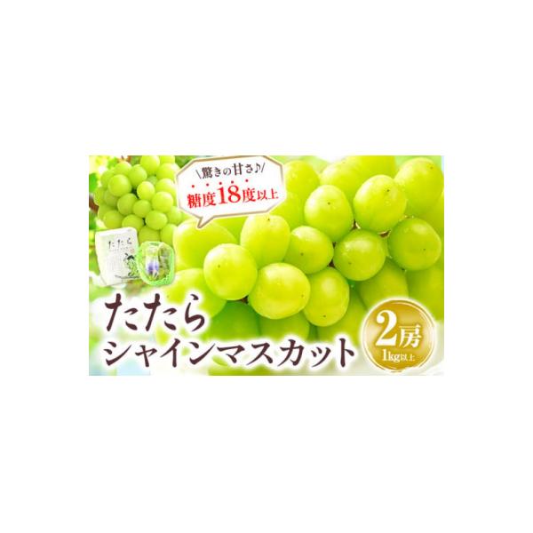 ■お礼品詳細　・配送方法：通常配送　・内容量：2房1ｋｇ以上　・賞味期限：出荷から5日程度　・提供元：笠岡市■お申し込み・配送・その他　・発送時期：2026年8月下旬頃から順次発送いたします。　・申込受付期間：2026年10月10日まで　・...