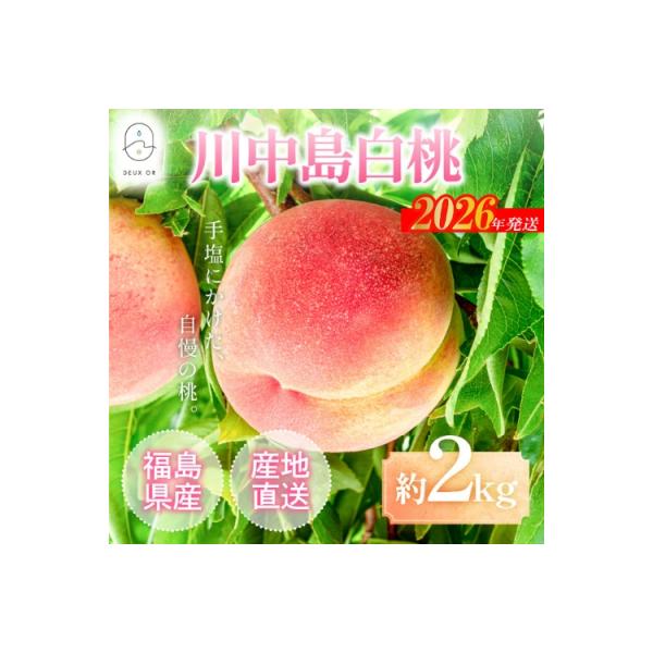 ■お礼品詳細　・事業者：カンノファーム　・内容量：約2kg　・賞味期限：発送日+3日※生もの(果物)ですので、できるだけお早めにお召し上がり下さい。　・配送方法：冷蔵便　・アレルギー：もも　・提供元：福島市■お申し込み・配送・その他　・発送...
