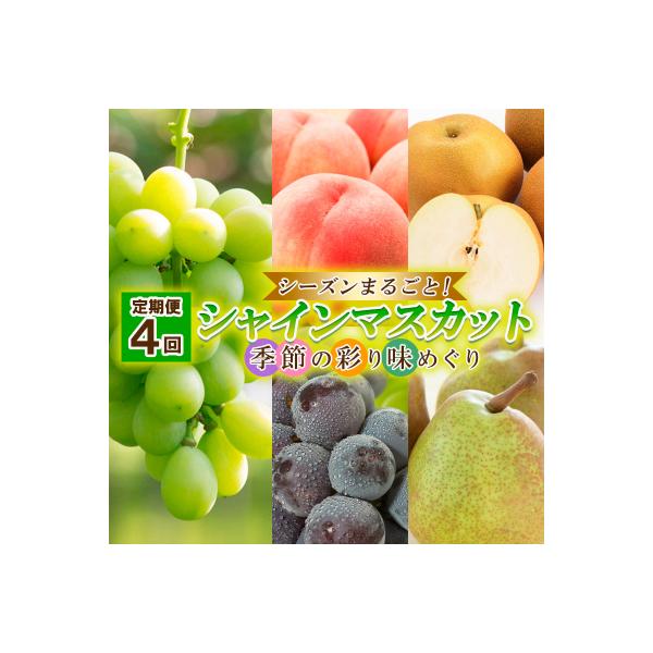 ■お礼品詳細　・配送方法：冷蔵　・事業者：山形多田青果株式会社　・提供元：山形市■お申し込み・配送・その他　・発送時期：2026年08月05日頃〜2026年12月04日頃※状況により配送時期が前後する場合がございます。(着日指定不可)※山形...