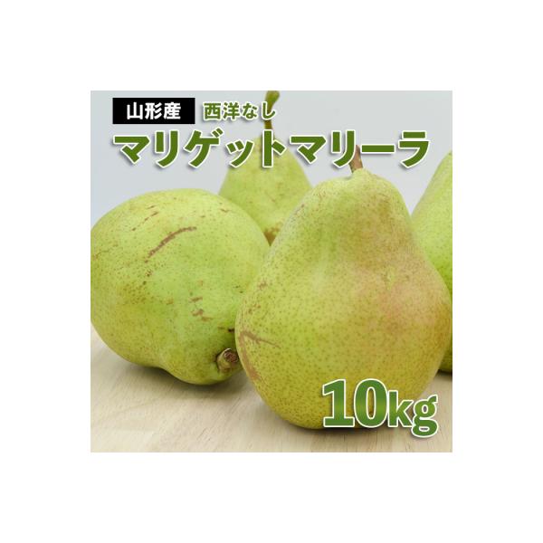 ■お礼品詳細　・配送方法：常温　・事業者：株式会社丸勘山形青果市場　・提供元：山形市■お申し込み・配送・その他　・発送時期：2026年09月05日頃〜2026年10月04日頃※状況により配送時期が前後する場合がございます。(着日指定不可)※...