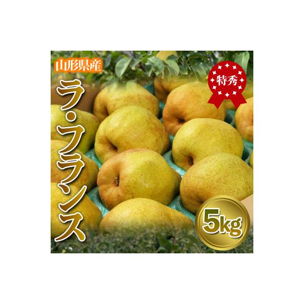 ■お礼品詳細　・配送方法：常温　・事業者：株式会社アンスリーファーム　・提供元：山形市■お申し込み・配送・その他　・発送時期：2026年12月01日頃〜2026年12月31日頃※状況により配送時期が前後する場合がございます。(着日指定不可)...