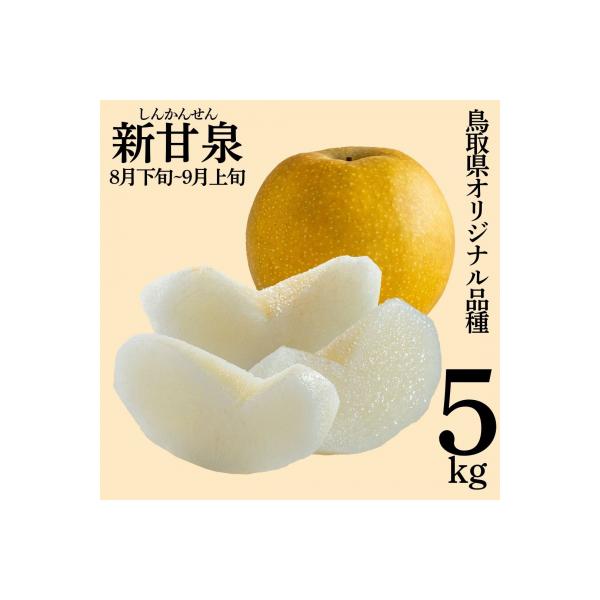 ■お礼品詳細　・提供元：湯梨浜町■お申し込み・配送・その他　・発送時期：8月下旬〜9月上旬頃　・申込受付期間：〜2026年3月29日(日)まで　・配達外のエリア：　・寄付証明書の送付時期目安：申込完了日から２週間程度