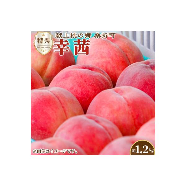 ■お礼品詳細　・賞味期限：発送日から1週間程度　・容量：1.2kg相当×1箱（4玉）　・保管方法：商品到着後は冷蔵庫や風通しの良い涼しいところで保存し、出来るかぎり早めにお召し上がりください。　・配送方法：常温　・事業者：ふくしま未来農業協...