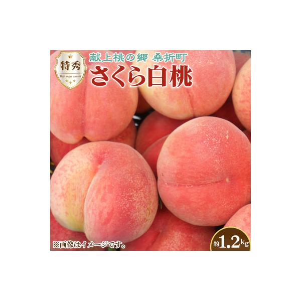■お礼品詳細　・賞味期限：発送日から1週間程度　・容量：1.2kg相当×1箱（4玉）　・保管方法：返礼品到着後は冷蔵庫や風通しの良い涼しいところで保存し、出来るかぎり早めにお召し上がりください。　・配送方法：常温　・事業者：ふくしま未来農業...