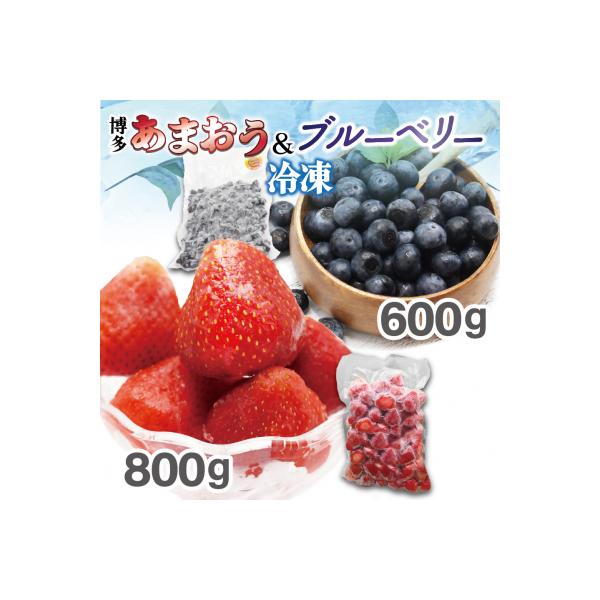 ■お礼品詳細　・内容量：冷凍あまおう800g ＆ 冷凍ブルーベリー600gセット 計1.4kg　・配送不可地域：配送会社の配送不可地域　・賞味期限：製造日より冷凍で1年　・配送方法：冷凍　・のし対応・表書き：不可　・事業者：JAむなかた農産...