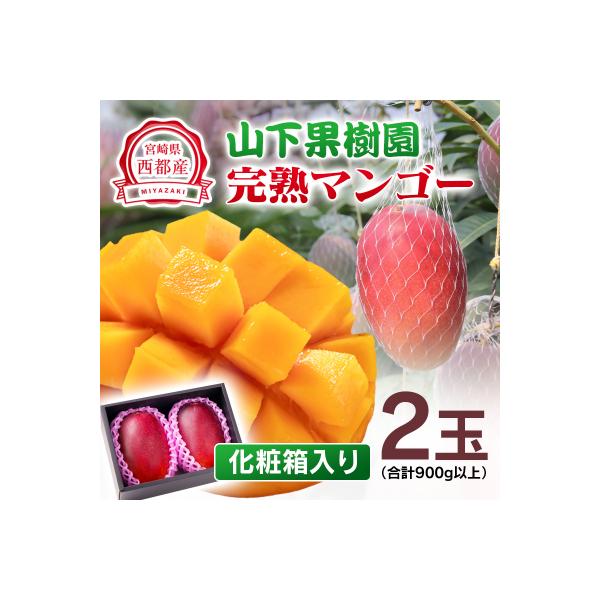 ■お礼品詳細　・内容量：完熟マンゴー2玉（900g以上）　・発送方法：冷蔵便　・消費期限：出荷日より1週間程度(冷蔵庫に保管の上、お早めにお召し上がりください)　・提供事業者：山下果樹園　・提供元：西都市■お申し込み・配送・その他　・発送時...