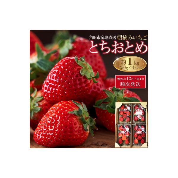 ■お礼品詳細　・賞味期限：出荷後:4日以内　・発送種別：冷蔵　・事業者：サトウ農園　・提供元：角田市■お申し込み・配送・その他　・発送時期：2025年12月下旬より順次発送します。　・申込受付期間：〜2026年4月25日　・配達外のエリア：...