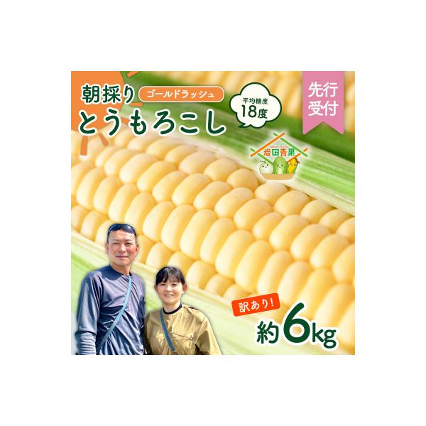 ■お礼品詳細　・配送種別：冷蔵便　・提供元：八千代町■お申し込み・配送・その他　・発送時期：2026年6月中旬からお申込み受付順に順次発送予定※発送予定日のお問い合わせはお答えできかねます。※2025年の発送ではございませんので、ご注意くだ...