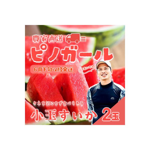 ■お礼品詳細　・配送種別：通常便　・提供元：八千代町■お申し込み・配送・その他　・発送時期：2026年6月下旬からお申込み受付順に順次発送※天候の影響で収穫時期が前後する場合がございます。予めご了承ください。※2025年の発送ではございませ...