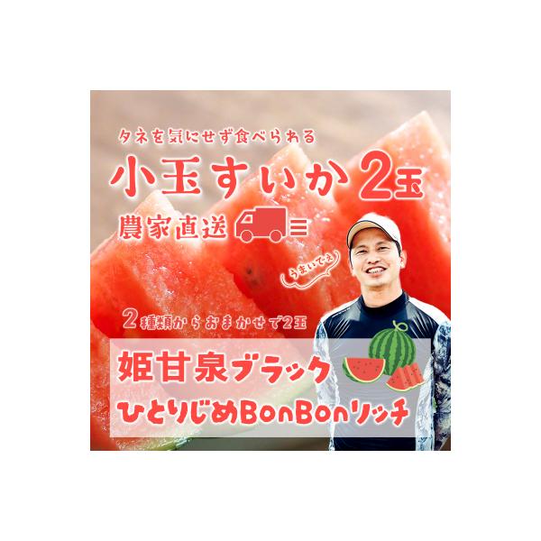 ■お礼品詳細　・配送種別：通常便　・提供元：八千代町■お申し込み・配送・その他　・発送時期：2026年7月中旬からお申込み受付順に順次発送※天候の影響で収穫時期が前後する場合がございます。予めご了承ください。※2025年の発送ではございませ...