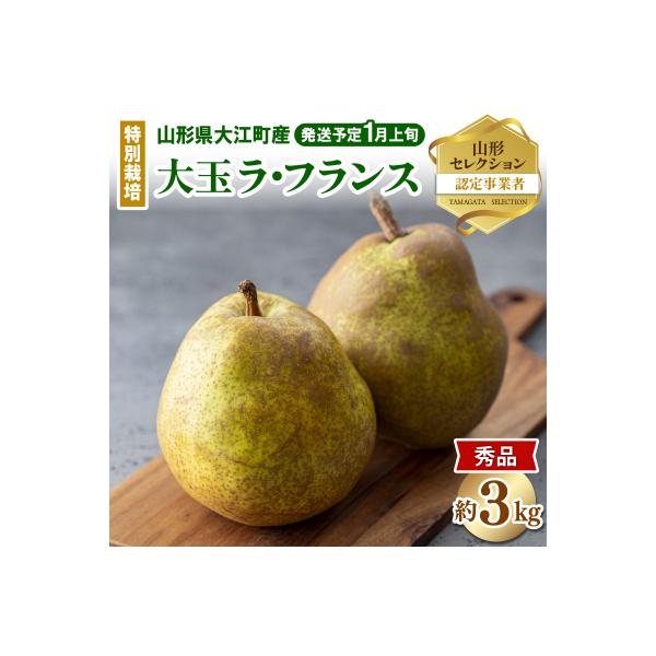 ■お礼品詳細　・配送方法：通常便　・提供元：大江町■お申し込み・配送・その他　・発送時期：2027年1月上旬頃より順次発送予定　・申込受付期間：〜2026年12月31日まで　・配達外のエリア：離島、沖縄県　・寄付証明書の送付時期目安：申込完...