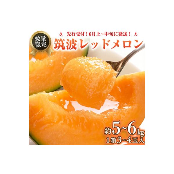 ■お礼品詳細　・配送種別：通常便　・提供元：八千代町■お申し込み・配送・その他　・発送時期：2026年6月上旬〜中旬にかけて、受付順に順次発送※生育状況によっては、前後する場合がございます。※2025年発送分ではございません。　・申込受付期...