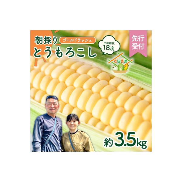 ■お礼品詳細　・配送種別：冷蔵便　・提供元：八千代町■お申し込み・配送・その他　・発送時期：2026年6月中旬からお申込み受付順に順次発送予定※発送予定日のお問い合わせはお答えできかねます。※2025年の発送ではございませんので、ご注意くだ...