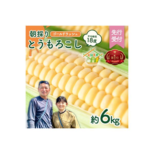 ■お礼品詳細　・配送種別：冷蔵便　・提供元：八千代町■お申し込み・配送・その他　・発送時期：2026年6月中旬からお申込み受付順に順次発送予定※発送予定日のお問い合わせはお答えできかねます。※2025年の発送ではございませんので、ご注意くだ...