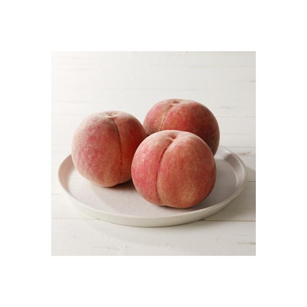 ■お礼品詳細　・配送方法：通常便　・事業者：株式会社くるまや農園　・提供元：上山市■お申し込み・配送・その他　・発送時期：2026年8月下旬〜9月中旬迄※ご不在日が多く配達が困難な場合、お礼品や配送先の変更をお願いする場合がございます。 　...